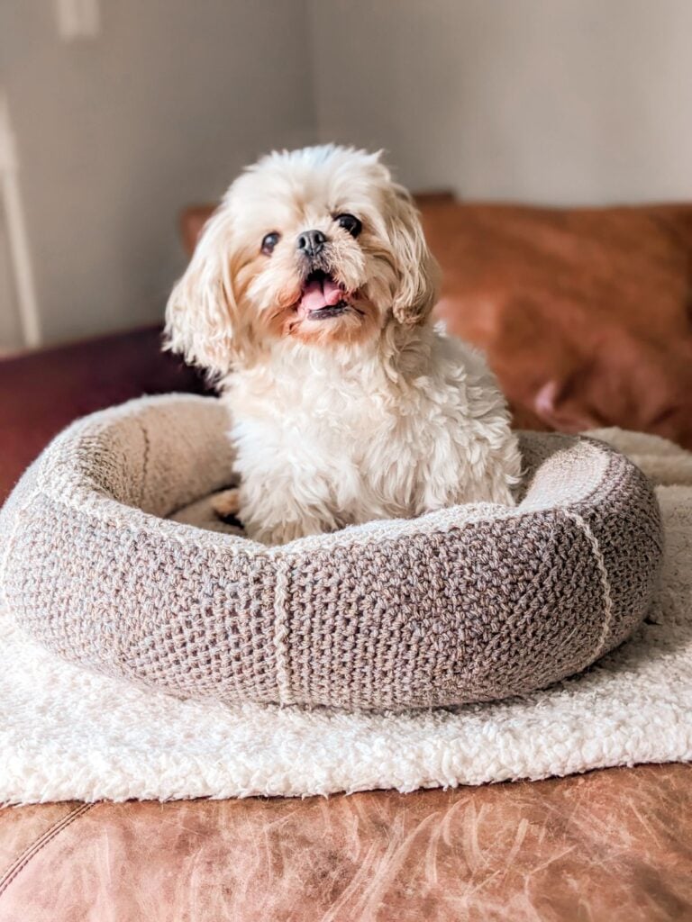 Free Crochet Dog Bed Pattern (Step-by-Step Tutorial)